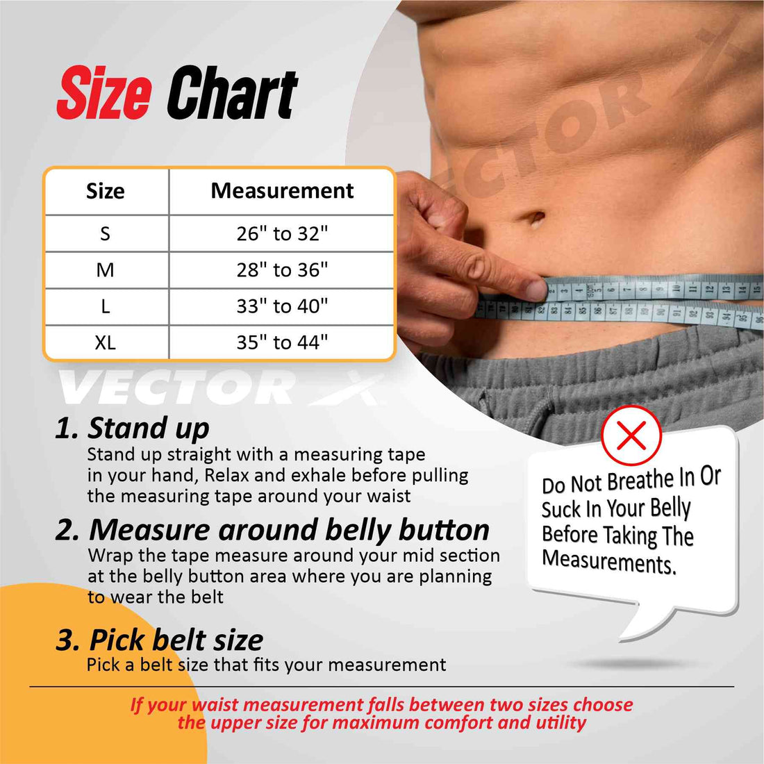 Vector X Hercules Weight Lifting Belt